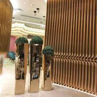 China 201 Stainless Steel Screen Partition PVD Black Gold Champagne Mirror Hairline Brushed 500x2800mm for sale