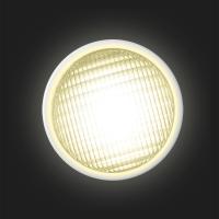 China 316L Stainless Steel Par56 LED Pool Light AC/DC12V  65W IP68 Under Water Pool Bulb Outdoor Pool for sale