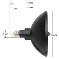 China RGB Bulb Wall Mounted Swimming Pool Lights 100% Synchronous Control 12V E26 Base Par56 IP68 for sale