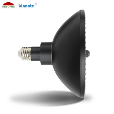 China US Niches E26 SMD5050 Par56 UL Pool Lighting 17W Par56 Aluminum lamp for sale