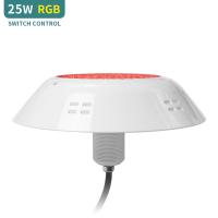 China 25W IP68 Waterproof Switch Vinyl Pool Lights Control Round 1200LM for sale