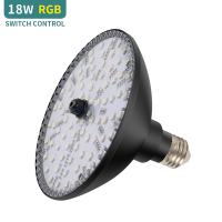 China Switch Control Par56 Pool Light Aluminum RGBW AC12V Die Cast for sale
