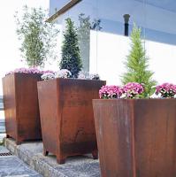 China Corten Steel Garden Cube Planter with Feet 60x60x60cm Custom Sizes Available for sale