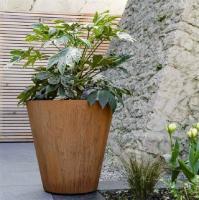 China Corten Steel Conical Planter Tapered Cylinder Garden Metal Flower Pot D60xH60cm for sale