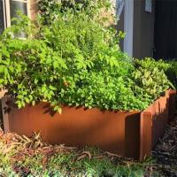 China Square Corten Steel Raised Garden Bed 800x800x400mm for Vegetable Flower Planter Edge for sale