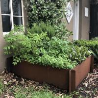 China Square Corten Steel Raised Garden Bed 800x800x400mm for Vegetable Flower Planter Edge for sale