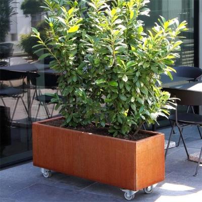 China Removable Corten Steel Trough Planter on Casters Wheels 100x40x40cm for sale