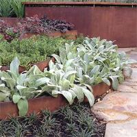 China Corten Steel Garden Edging 1.6mm Thickness Straightcurve Landscape Border for Lawn and Path for sale