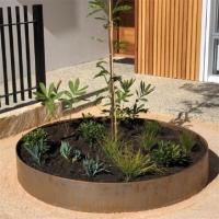 China 2mm Thickness Corten Steel Landscape Tree Ring With Folded Top Edge for sale