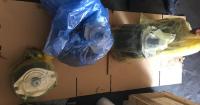 China Rexroth A10VSO28DFR1/31R- PPA12N00 Hydraulic Piston Pumps/Variable pump for sale