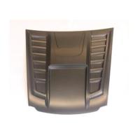 China 2022 Hilux Revo Engine Hood Plastic Hood Scoop Cover for Long-lasting Protection for sale