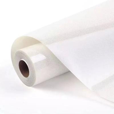 China 30cm Digital Inkjet Cold Hot DTF Glitter PET Film Heat Transfer Vinyl 11.8 Inch Clothing for sale
