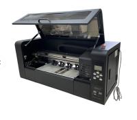 China OEM Support 17inch High Speed All in One Roll Mini Impresora Dtf Printer with Shaker Powder Machine Xp600head for sale