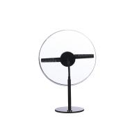 China 2200mah Built in Li Battery 3D Hologram Fan Display Fan with 256pcs LED Lamp Beads 30cm for sale