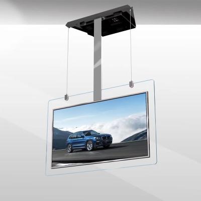 China 700 Nits Hanging Transparent LCD Screen 55inch OLED Double Sided Digital Display for sale