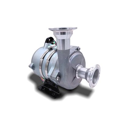 China 300W AC 220V Input Electric Coolant Pumps For Cogeneration Systems CHP for sale