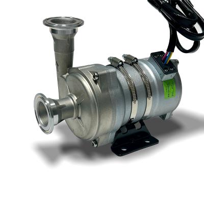 China Coolant Pump for Flow Battery Energy Storage: Maintenance-Free for Whole Service Life, Ideal for Thermal Management for sale