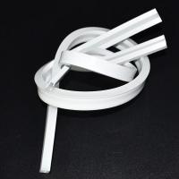 China White Flame Retardant LED Neon Strip Light 12V 24V Silicone for sale