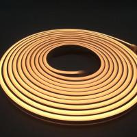 China 1010 LED Neon Light Strip IP67 Waterproof 24V Flexible Silicone Outdoor Lighting 10mm Width for sale