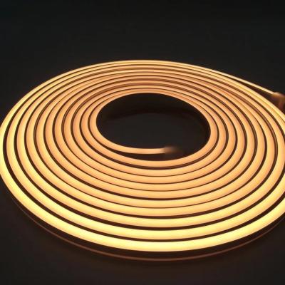 China 1010 LED Neon Light Strip IP67 Waterproof 24V Flexible Silicone Outdoor Lighting 10mm Width for sale
