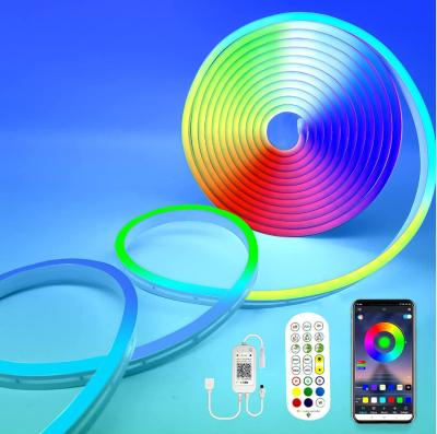 China Monster 5m Smart Silicone Neon Strip Light 12V RGBW LED Indoor Outdoor Decor for sale