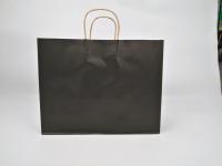 China Custom Biodegradable Kraft Paper Gift Bag with Handles 210gsm Coated Paper Shopping Bags for sale