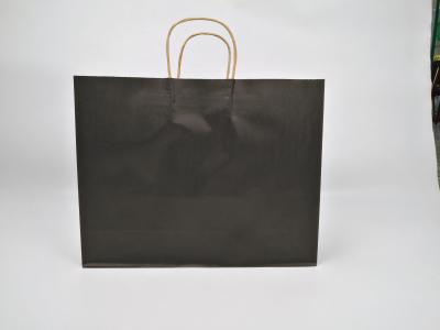 China Custom Biodegradable Kraft Paper Gift Bag with Handles 210gsm Coated Paper Shopping Bags for sale