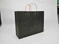 China Custom Biodegradable Kraft Paper Gift Bag with Handles 210gsm Coated Paper Shopping Bags for sale