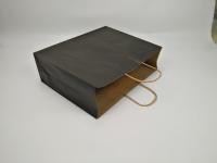 China Custom Biodegradable Kraft Paper Gift Bag with Handles 210gsm Coated Paper Shopping Bags for sale