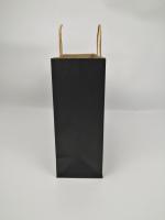 China Custom Biodegradable Kraft Paper Gift Bag with Handles 210gsm Coated Paper Shopping Bags for sale