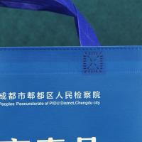 China Laminated Polypropylene Non Woven Tote Bag Eco Friendly Shopping 110 GSM for sale