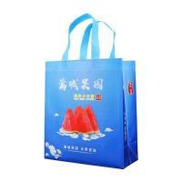 China 80gsm Eco Friendly Polypropylene Non Woven Bags for Supermarket Shopping Tote for sale