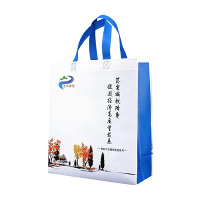 China Custom Biodegradable Non Woven Shopping Bag 80-100gsm Eco Friendly Tote for Promotions for sale