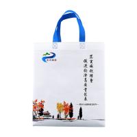 China Custom Biodegradable Non Woven Shopping Bag 80-100gsm Eco Friendly Tote for Promotions for sale