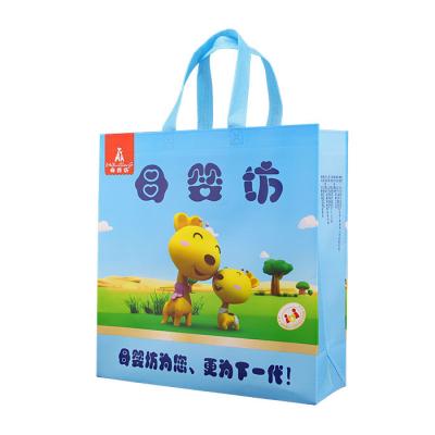 China Biodegradable PP Non Woven Shopping Bag 122gsm Shrink Resistant 40x50cm for sale