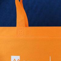 China 115gsm Reusable UV Protection Polypropylene Non Woven Shopping Bags for sale