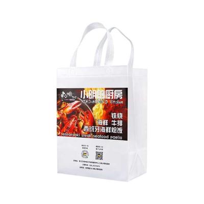 China Anti Bacterial PP Laminated Non Woven Bag 80-180GSM Shrink Resistant Promotional Tote for sale