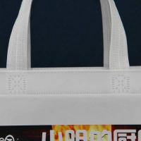 China Anti Bacterial PP Laminated Non Woven Bag 80-180GSM Shrink Resistant Promotional Tote for sale