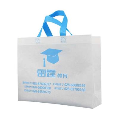 China Eco Friendly PP Non Woven Shopping Bags 55-180 GSM Shrink Resistant Reusable Tote for sale