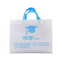 China Eco Friendly PP Non Woven Shopping Bags 55-180 GSM Shrink Resistant Reusable Tote for sale