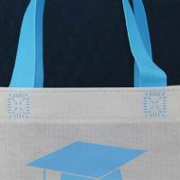 China Eco Friendly PP Non Woven Shopping Bags 55-180 GSM Shrink Resistant Reusable Tote for sale
