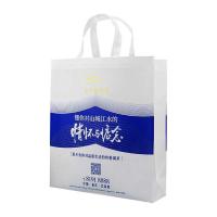 China Breathable Non Woven Polypropylene Shopping Bags 100 GSM Shrink Resistant Custom Size for sale