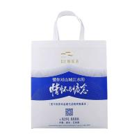 China Breathable Non Woven Polypropylene Shopping Bags 100 GSM Shrink Resistant Custom Size for sale