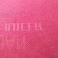 China Custom Printed Non Woven Shopping Bags 40x30x10cm Foldable Reusable Eco Friendly for sale