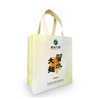 China PP 85gsm Non Woven Eco Bag with Handle Heat Transfer Printing Custom Size for sale