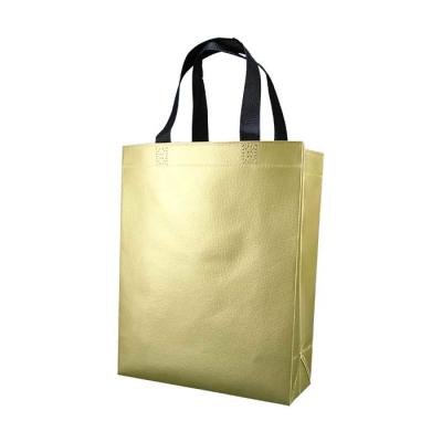 China Custom PP Non Woven Shopping Bag 80-180 GSM Biodegradable Reusable Tote for sale