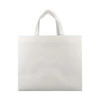 China 125gsm Eco Friendly PP Non Woven Shopping Bags Custom Size Reusable Tote Bag for sale