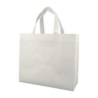 China 125gsm Eco Friendly PP Non Woven Shopping Bags Custom Size Reusable Tote Bag for sale