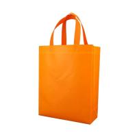 China Virgin Polypropylene Non Woven Reusable Shopping Bags 70gsm Breathable Eco Friendly for sale