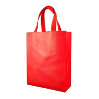 China 100% Polypropylene Non Woven Shopping Bag 120gsm Anti Static Reusable Tote for sale